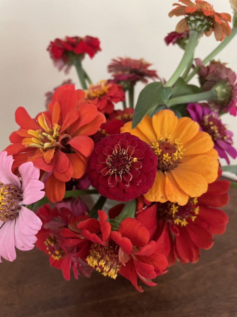 Home - Northern Farm & Flowers